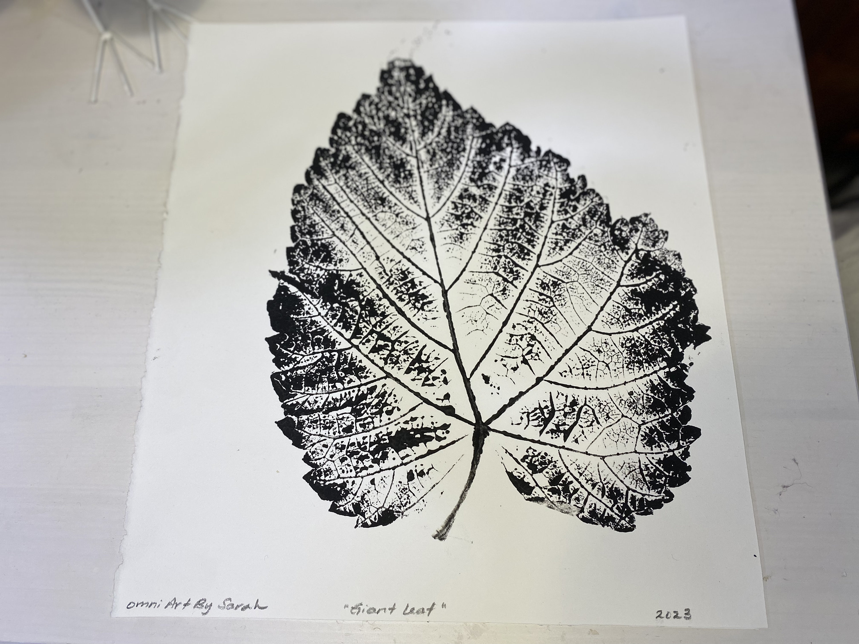 Wall Art, Ink Relief Print, Leaf Print, Basswood Tree Leaf Print, Wall ...
