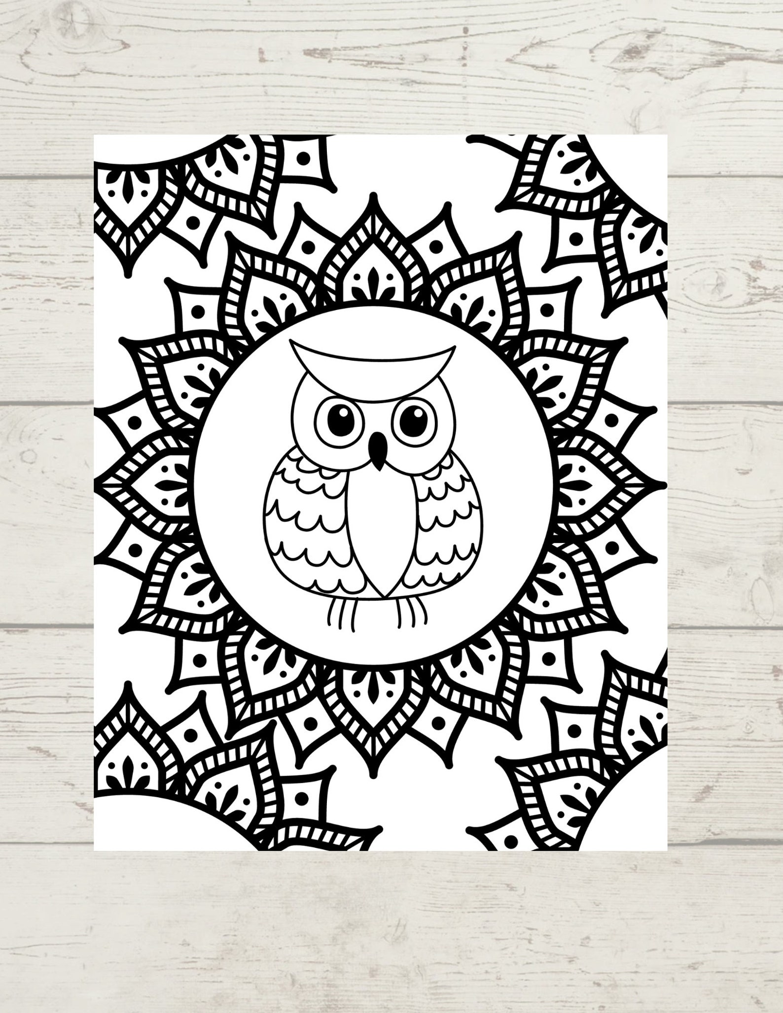 Owl Coloring Page | 5 Coloring Pages | Printable Coloring Page ...