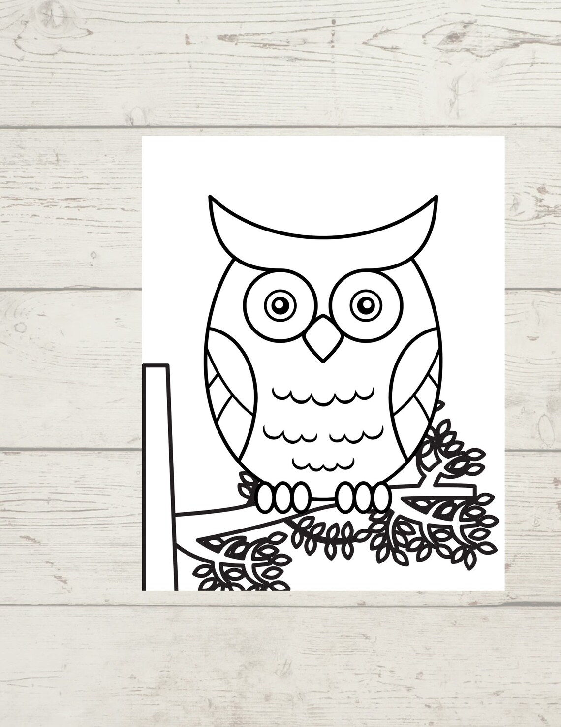 Owl Coloring Page 5 Coloring Pages Printable Coloring Page Primary ...