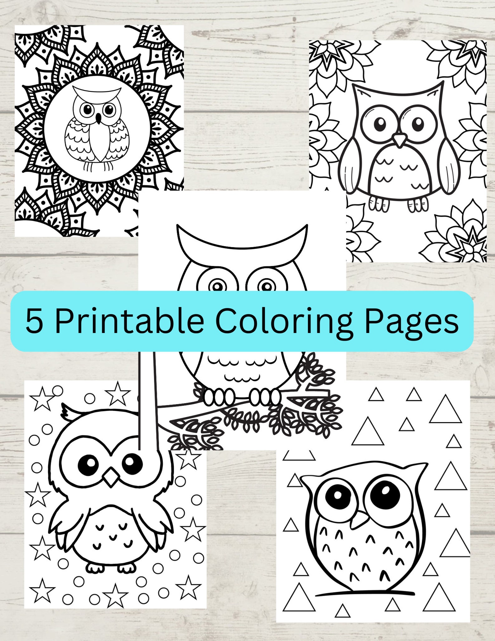 Owl Coloring Page 5 Coloring Pages Printable Coloring Page Primary ...