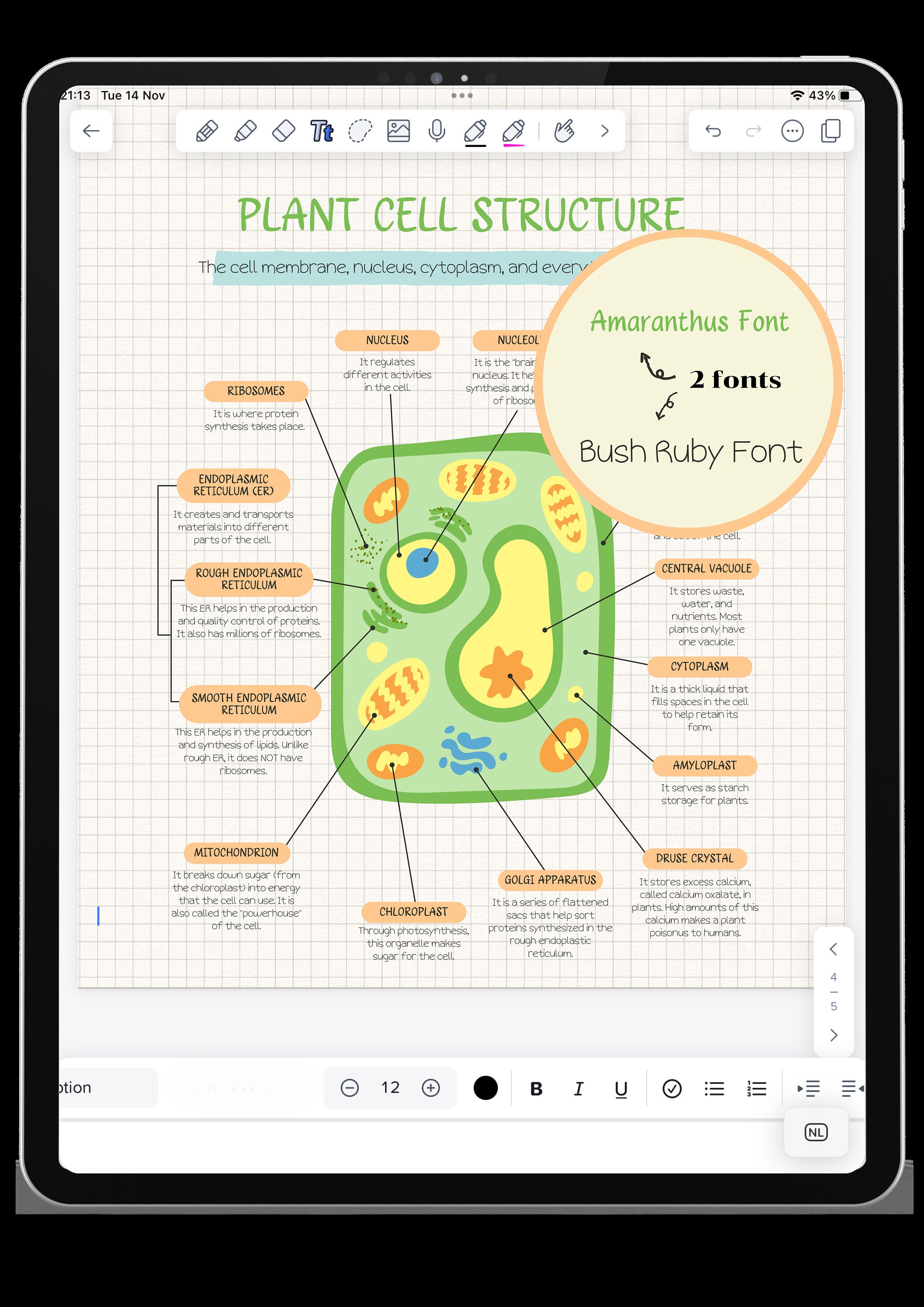Two Handwritten Fonts, Note-taking With Neat Handwritten FONTS ...