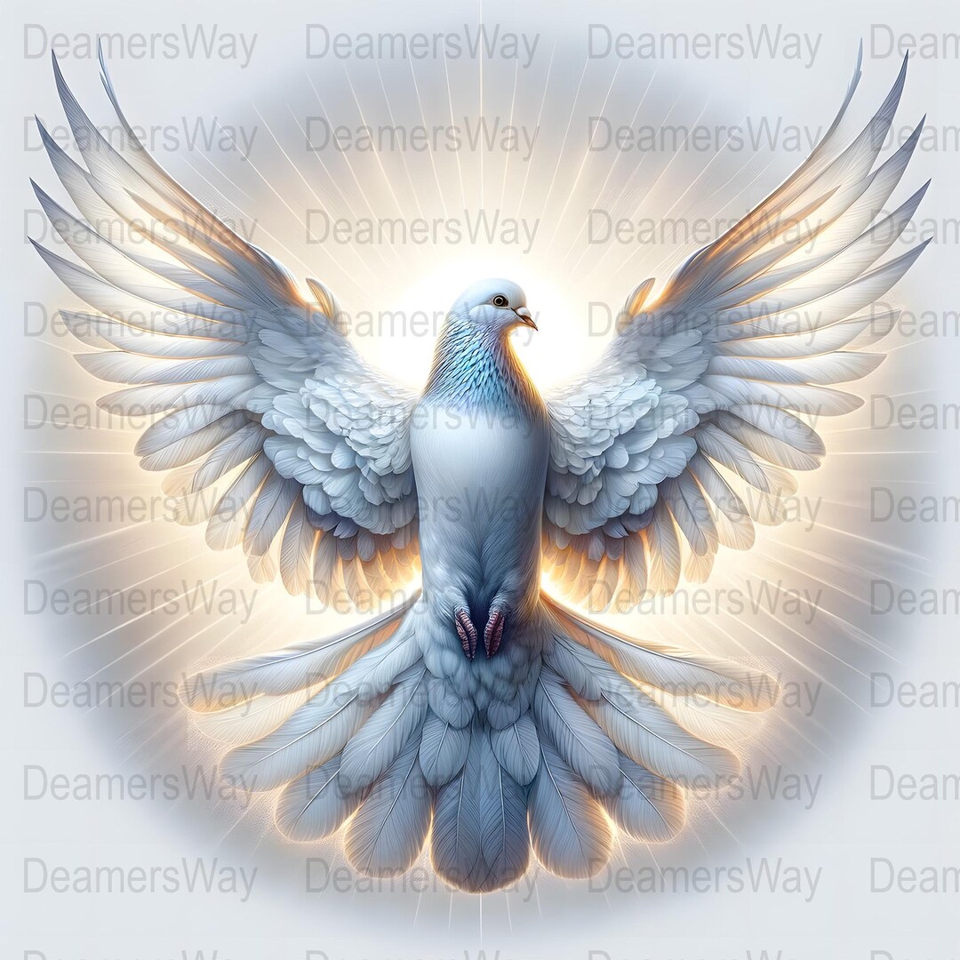 10 Dove Digital Clipart, Dove Illustration, Instant Download, High ...