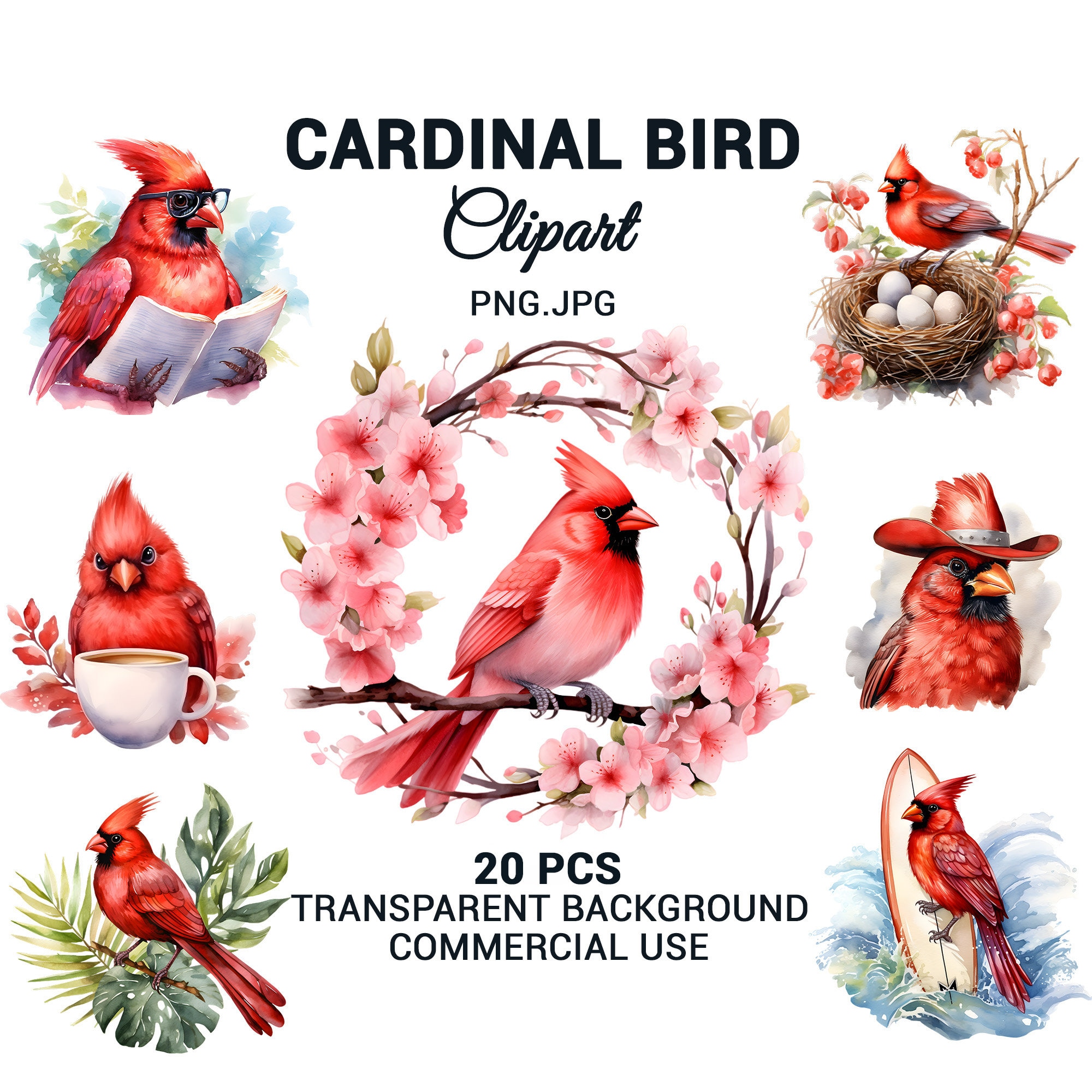 American Red Cardinal Watercolor Clipart, Cardinal Clipart, Cardinals ...