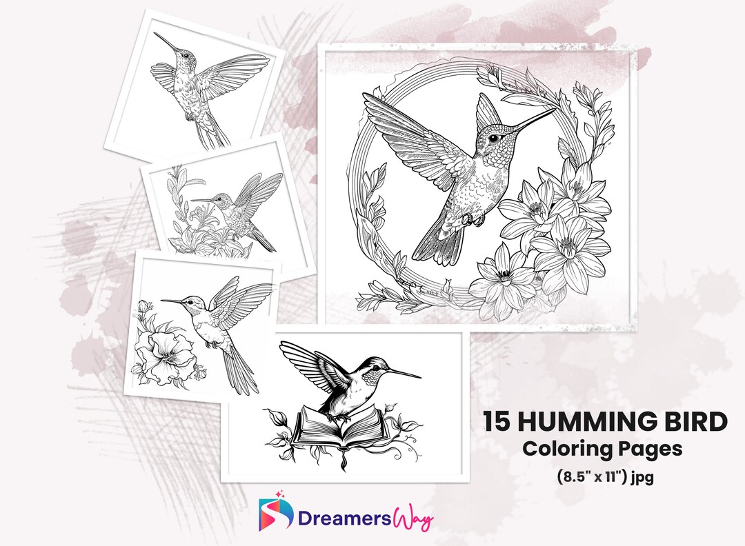 15 Printable Hummingbird Coloring Pages, Digital Download, Adult ...