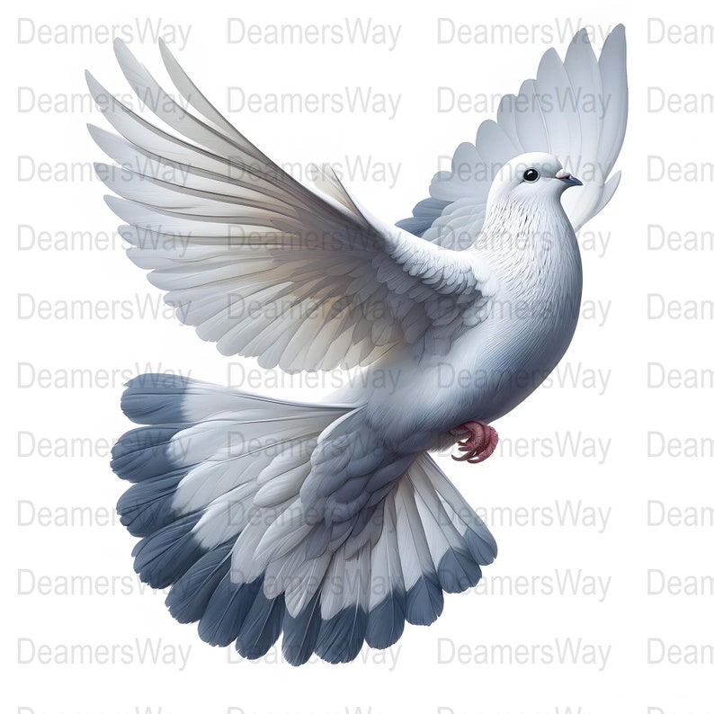 10 Dove Digital Clipart, Dove Illustration, Instant Download, High ...