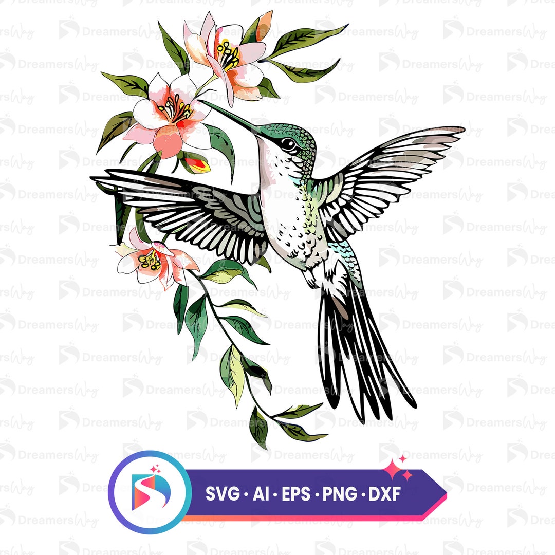 Watercolor Hummingbird Floral Vector Art Svg, Digital Download, Bird ...