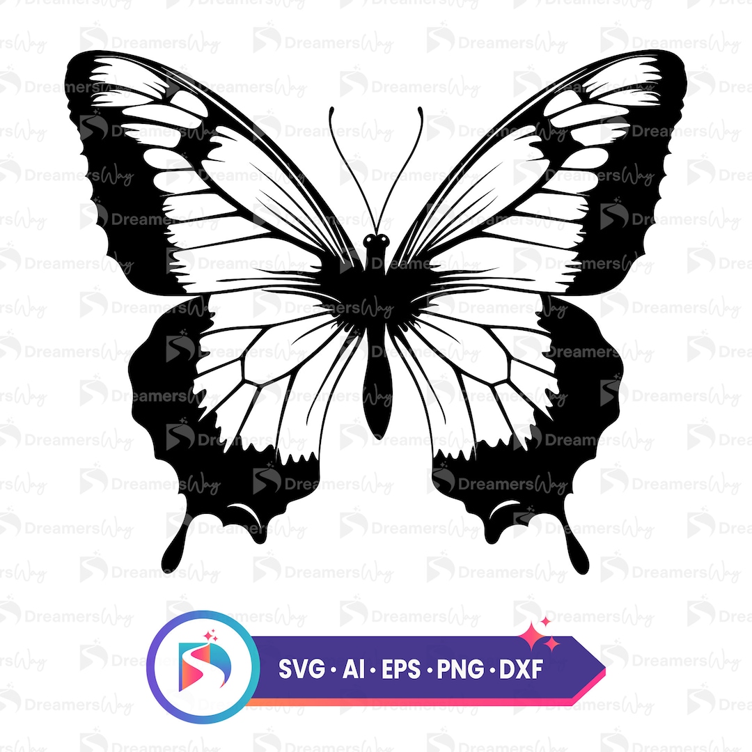 Butterfly Vector Illustration, Butterfly Svg, Best for Print on Demand ...