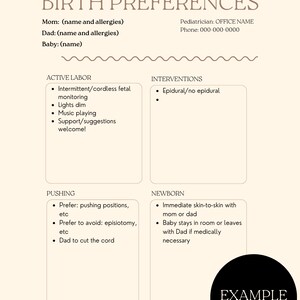 Birth Preferences Template | Birth Plan | Labor and Delivery ...
