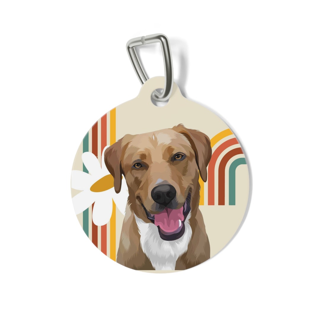 Personalized Pet Tag Custom Dog and Cat ID Name Tag Pet Collar ...