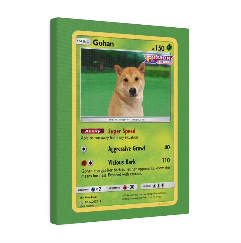 Custom Pet Portrait Gift for Pokemon Fan Personalized Pet Portrait ...