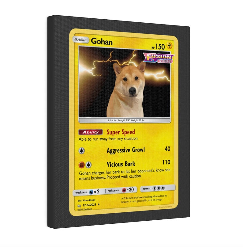 Custom Pet Portrait Gift for Pokemon Fan Personalized Pet Portrait ...