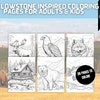 Yellowstone Children's Coloring Pages, Kids Activities, Road Trip Games ...