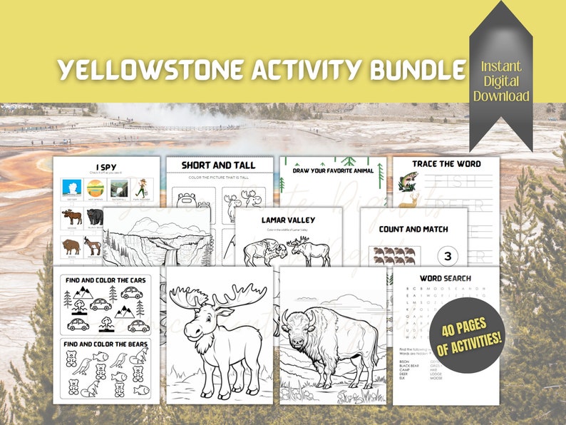 Yellowstone Children's Activity Pages, Kids Car Games, Road Trip Games ...