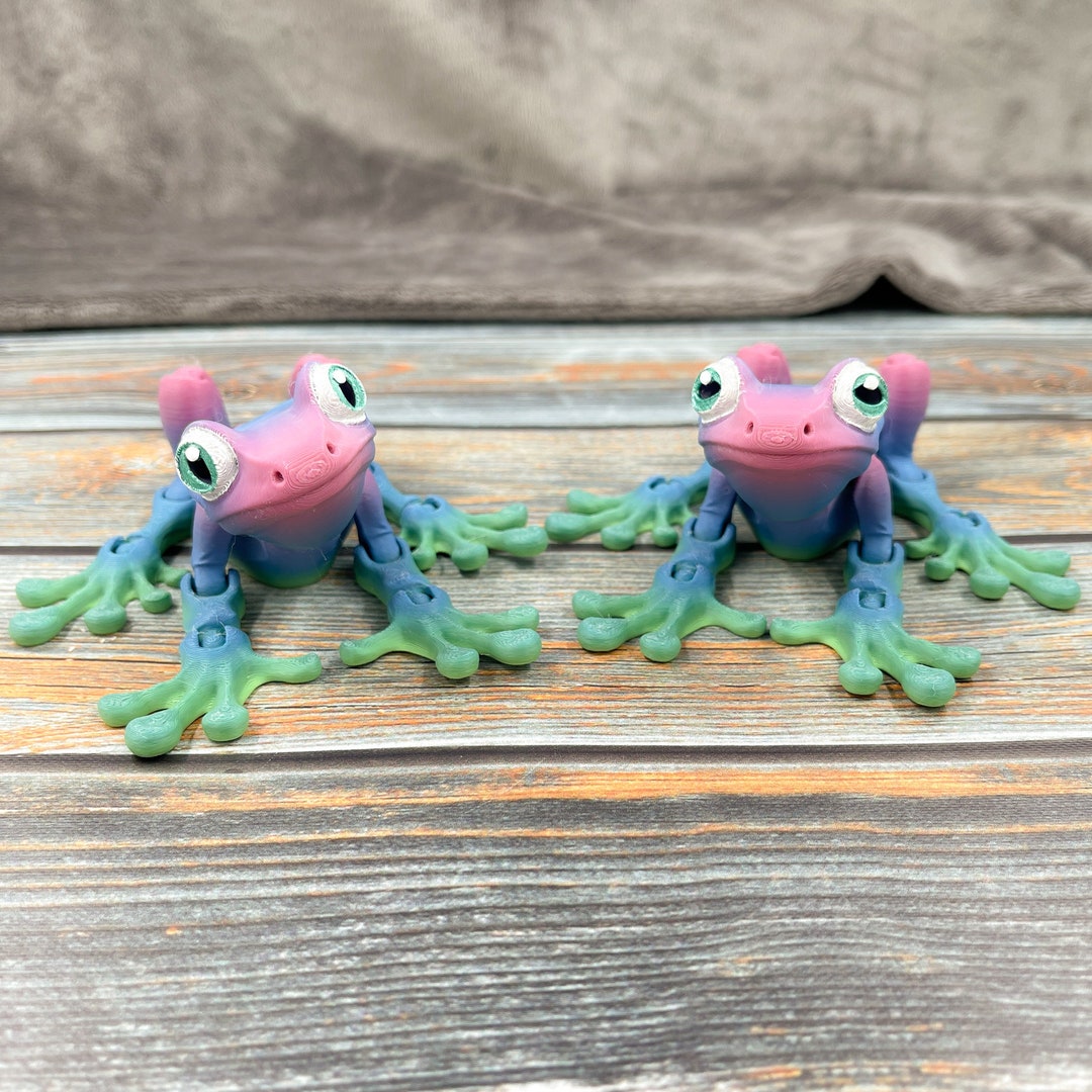Magnetic Tree Frog in Rainbow Matte Articulated 3D Printed Fidget ...