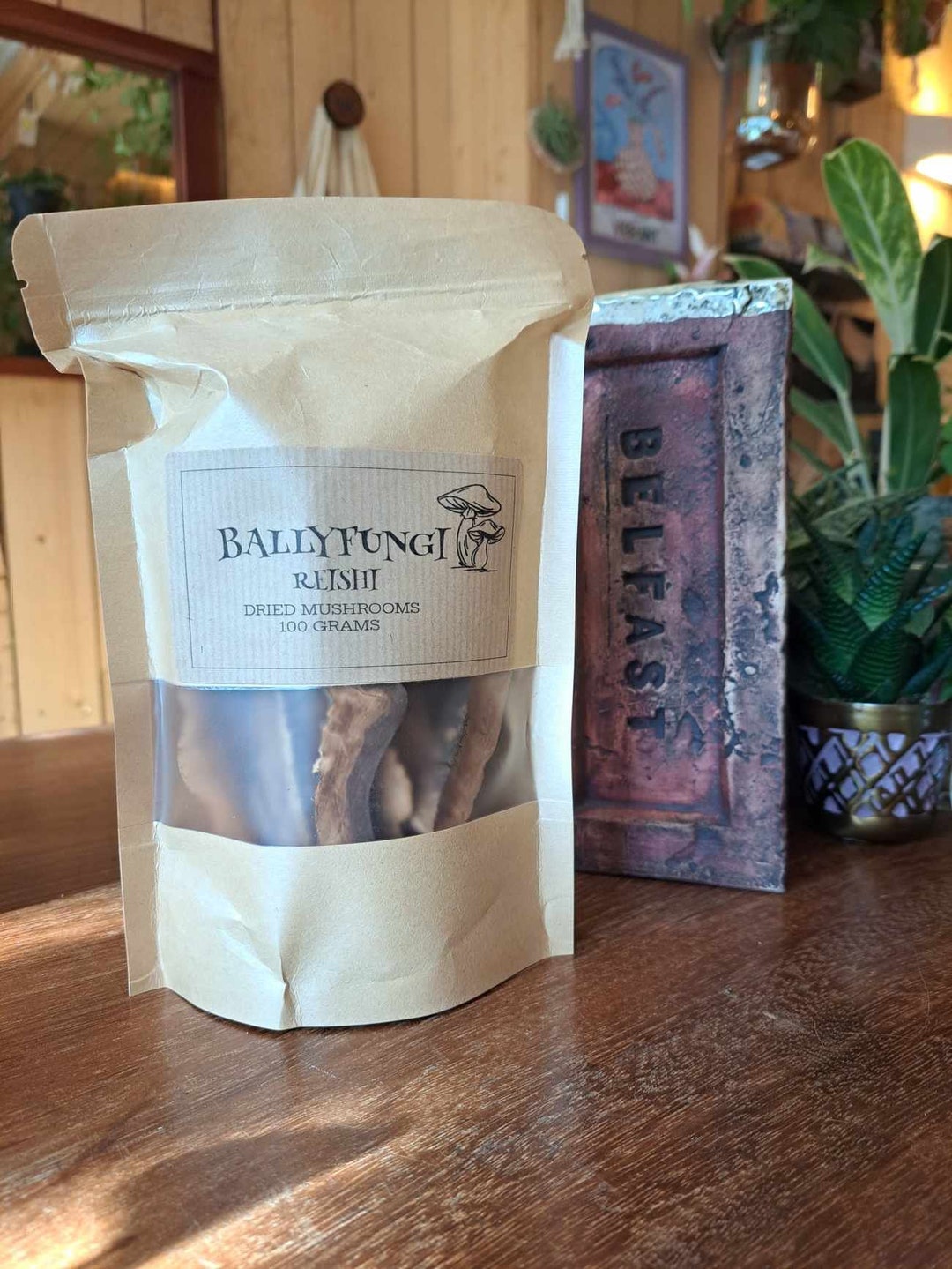Dried Reishi 100 Gram Organic (Ganoderma Lucidum) – Pure, Free Postage ...