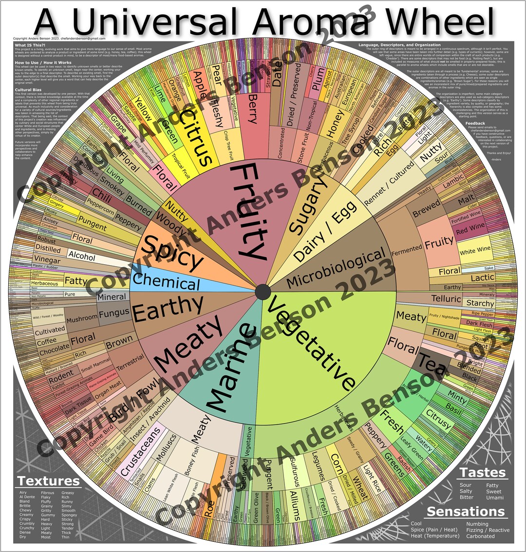 Universal Aroma Wheel Color Poster (digital File) - Etsy