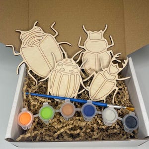 Beetles and Bugs Craft Kits for Kids, Paint Kits, Kids Crafts, DIY ...