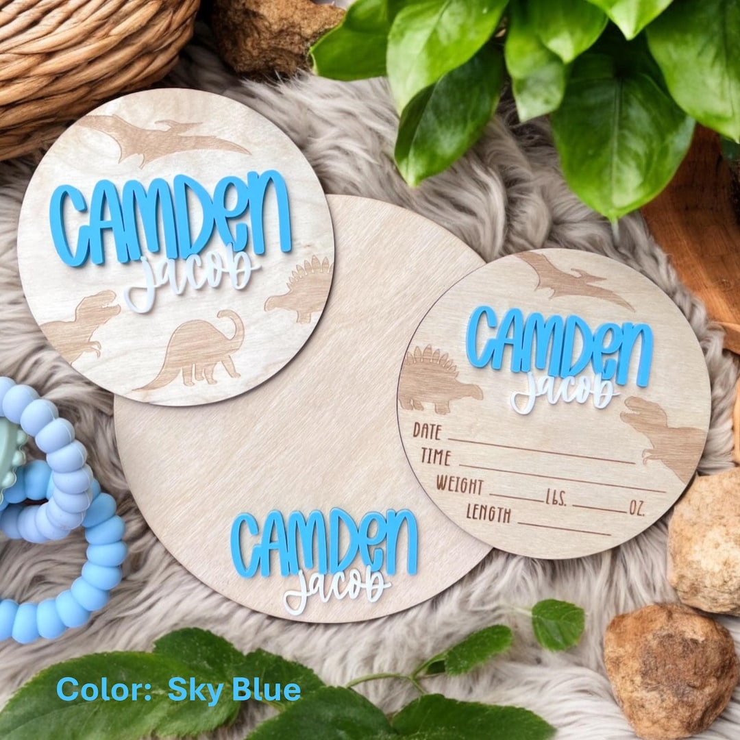 Baby Announcement Sign W/ Dinosaur Theme, Birth Announcement Round ...
