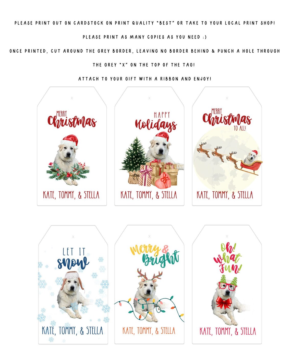 CUSTOM GIFT TAG Variety Pack, Christmas Gift Tags With Custom Photo of ...