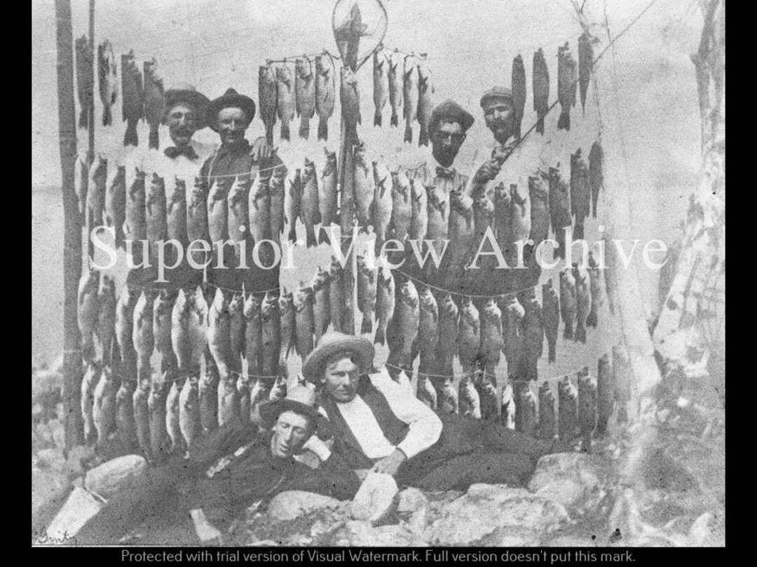 Old Time Fishing Huge Stringers of Bass Hundreds of Bass Vintage Bass ...
