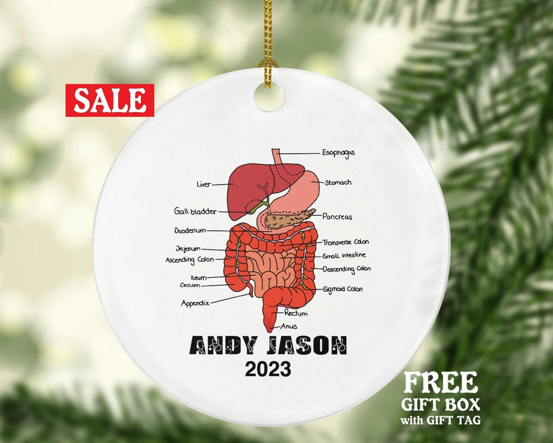 Personalized Physician Digestion System Christmas Ornament - Internal ...