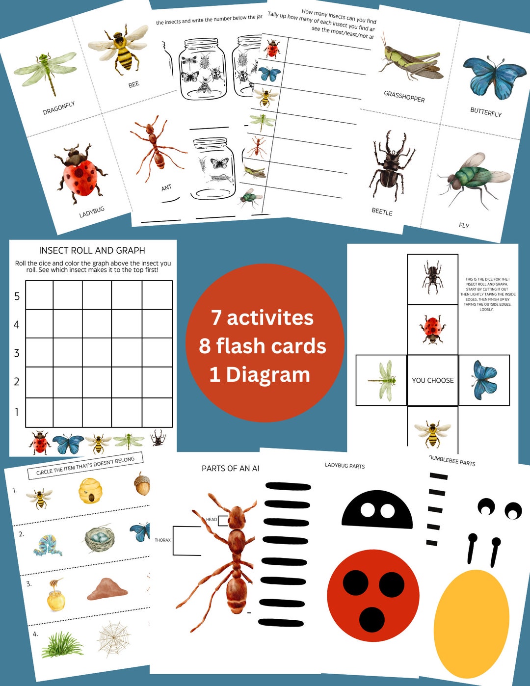 Kids Insect Learning Activity Homeschool Science - Etsy