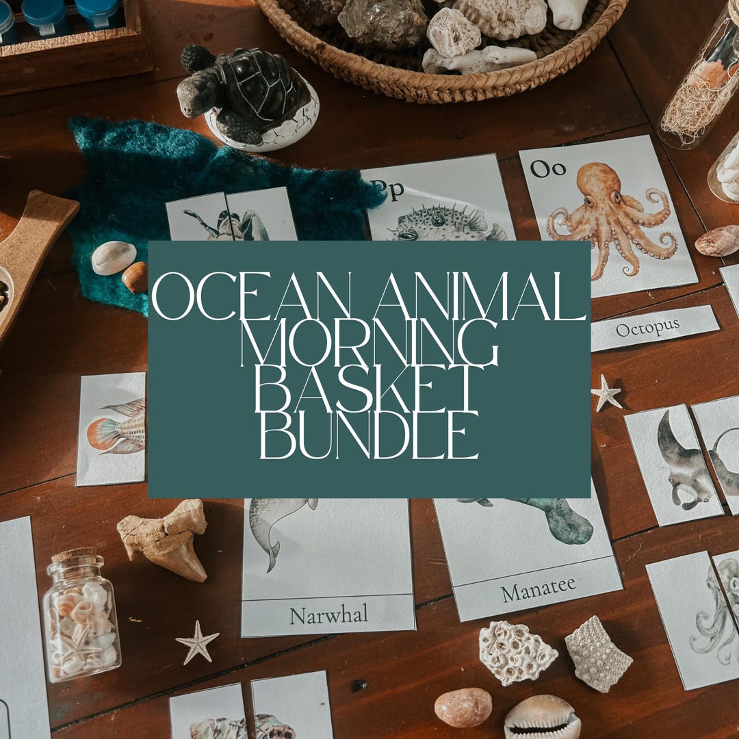 Mega Ocean Animal Morning Basket | Preschool & Kindergarten Printable ...