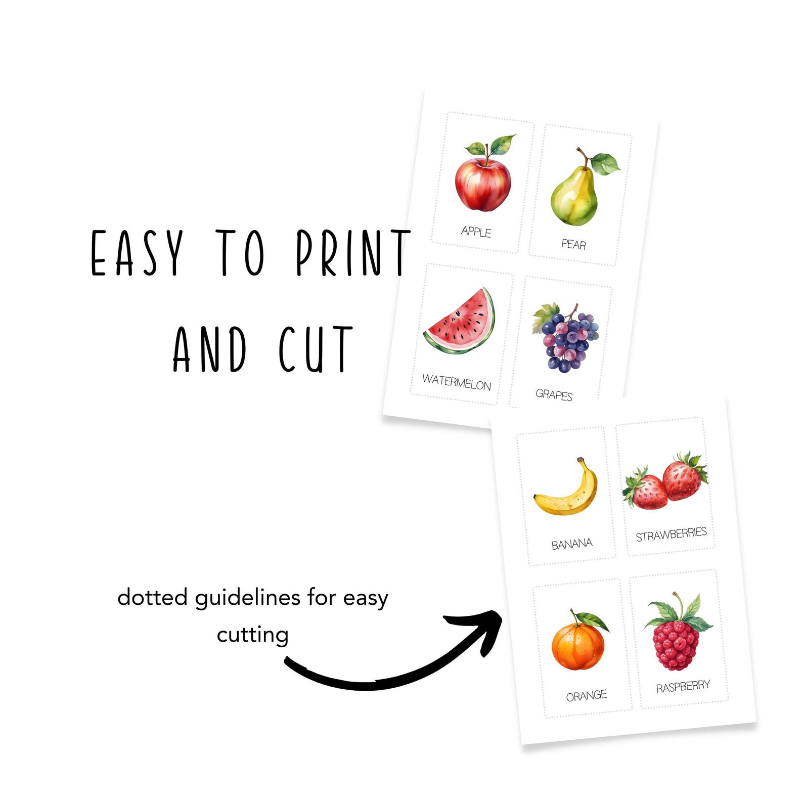 Watercolor Fruit Flashcards: Montessori Early Learning (digital ...
