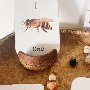 Nature-inspired Counting Flashcards 1-10 | Montessori Number ...