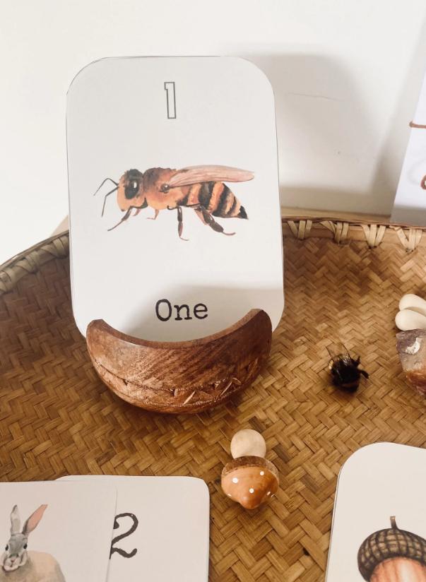 Nature-inspired Counting Flashcards 1-10 | Montessori Number ...