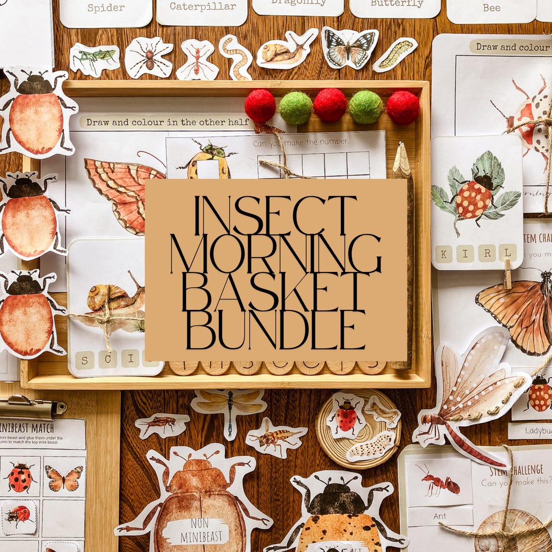 Insect Morning Basket Printable | Bug Activities for Kids | Nature ...