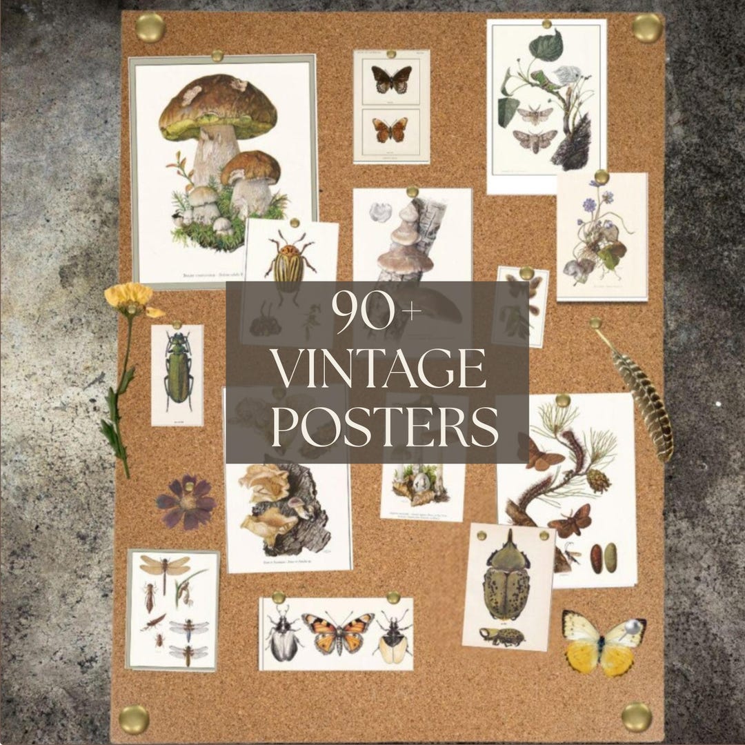 Vintage Fungi and Insect Posters Pack | 90+ Nature Study Printables ...