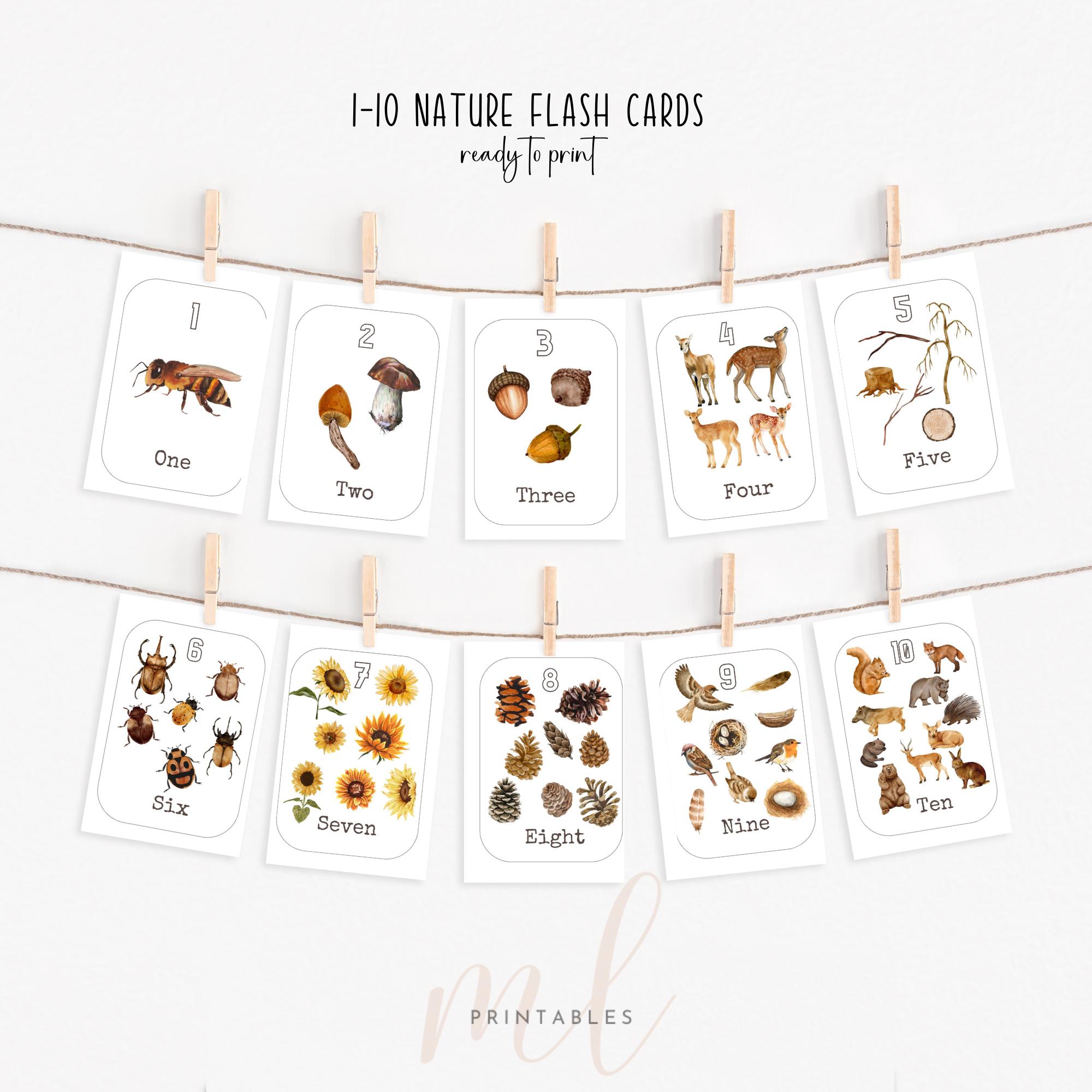 Nature-inspired Counting Flashcards 1-10 | Montessori Number ...