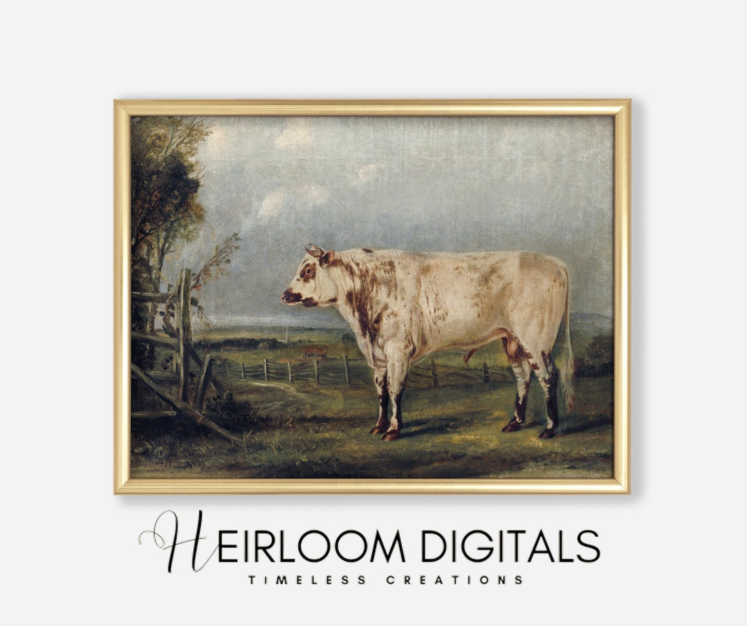 Vintage Cow Print DIGITAL Art Farm Decor Prints for County Decor, Kitchen Wall Art Antique ...