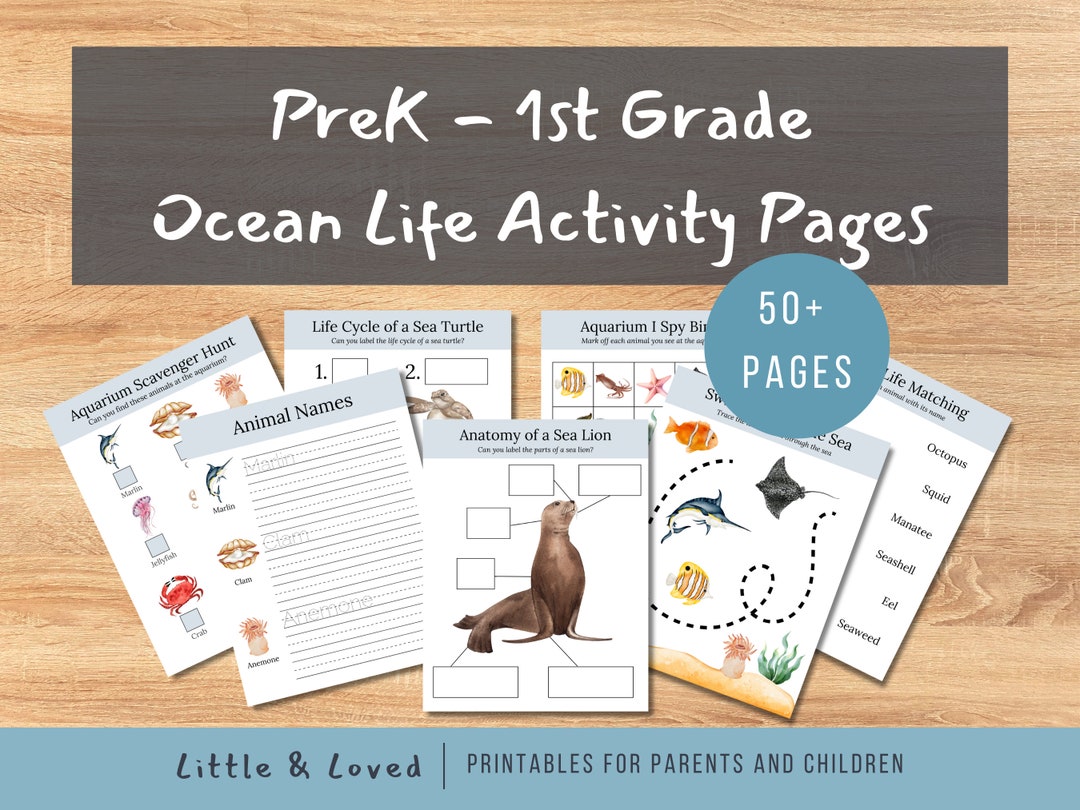 Ocean Life Themed Preschool, Kindergarten, and First Grade Worksheets ...