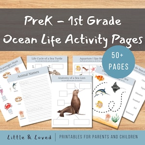 Ocean Life Themed Preschool, Kindergarten, and First Grade Worksheets ...