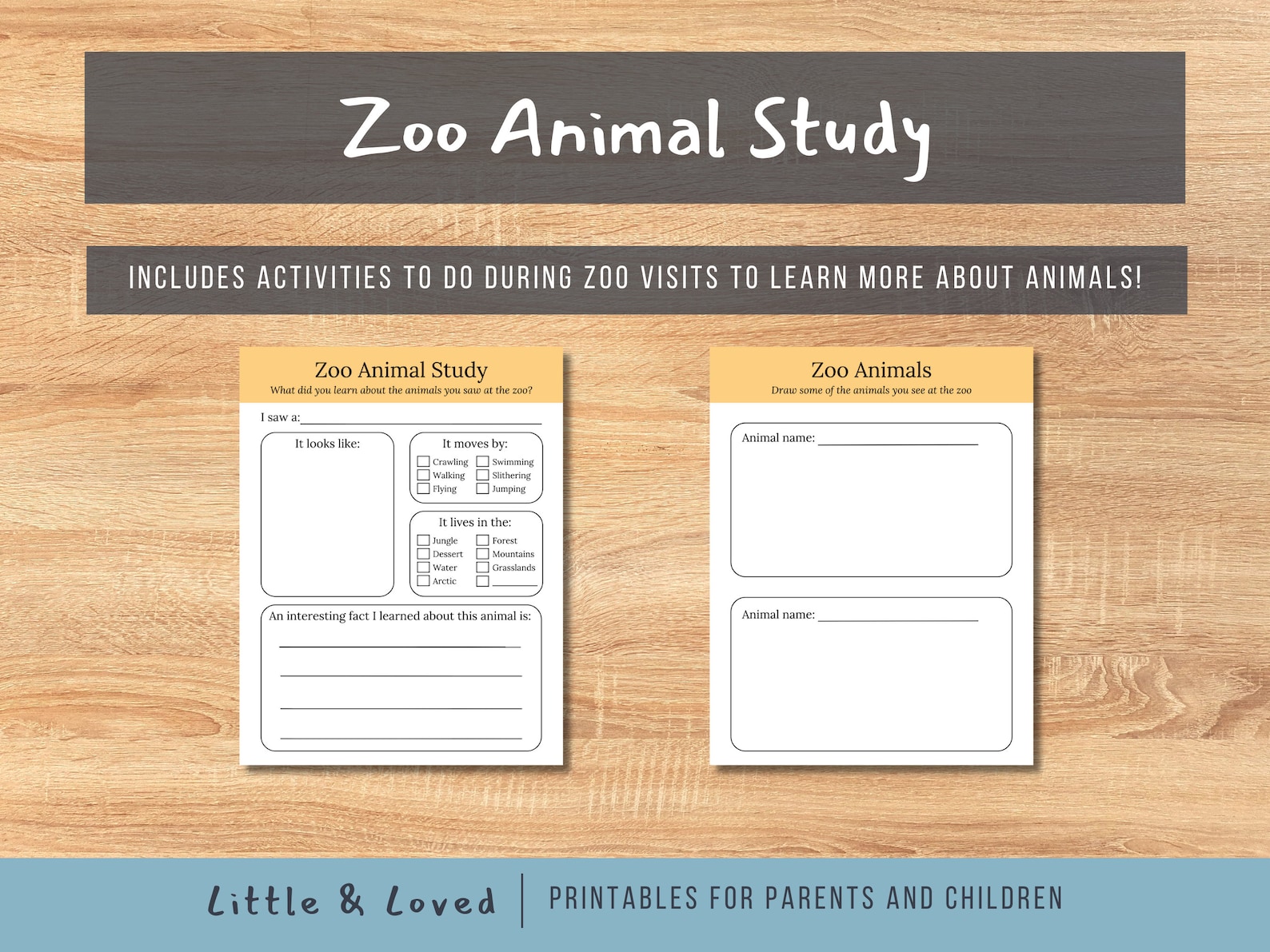 Zoo Animal Themed Worksheets and Activities for Preschoolers ...
