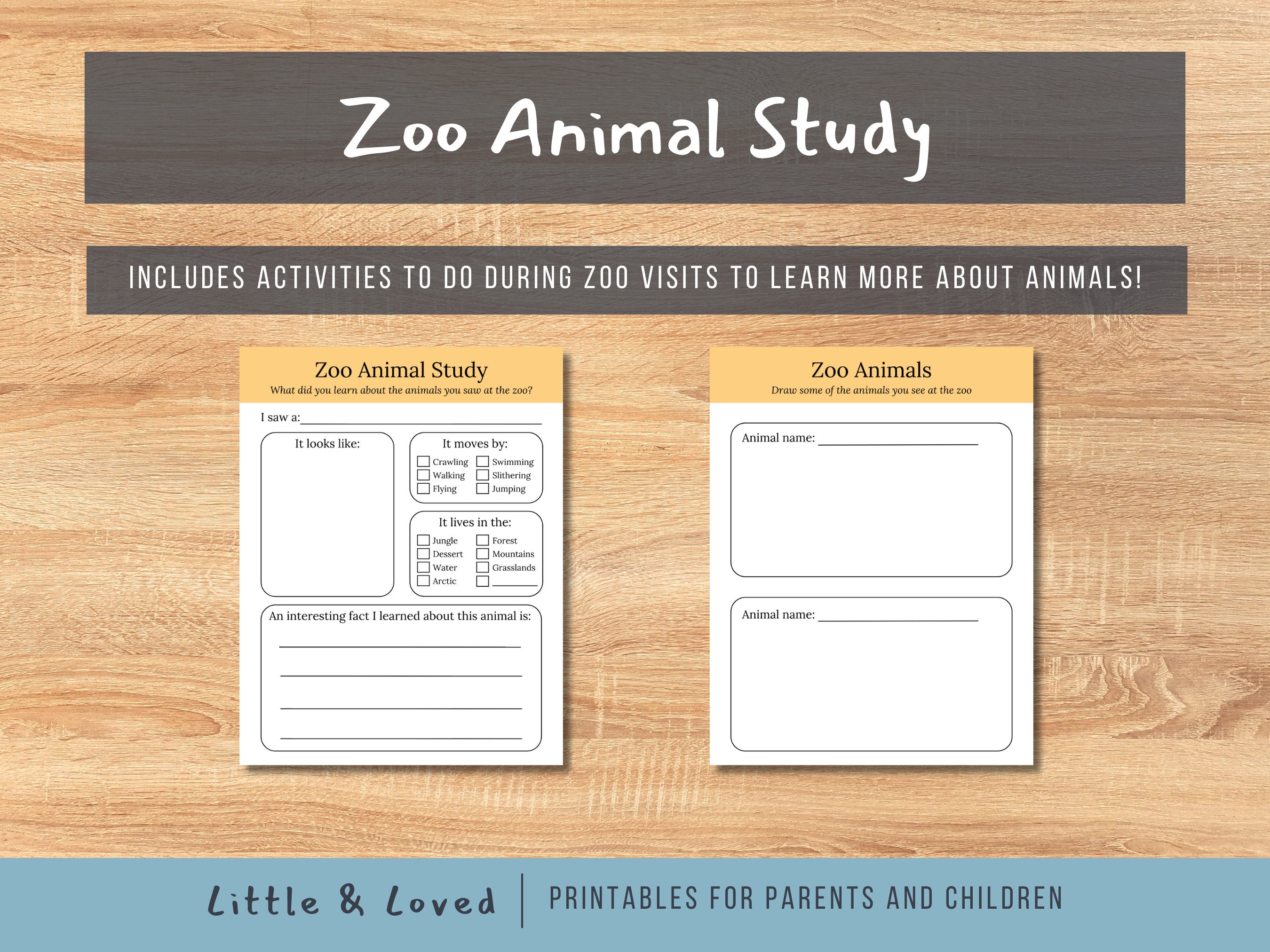 Zoo Animal Themed Worksheets and Activities for Preschoolers ...