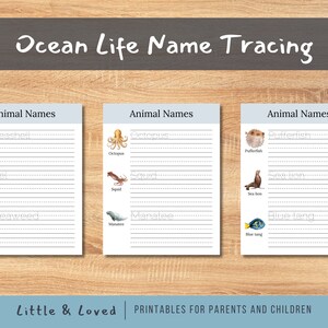 Ocean Life Themed Preschool, Kindergarten, and First Grade Worksheets ...
