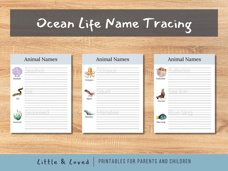 Ocean Life Themed Preschool, Kindergarten, and First Grade Worksheets ...