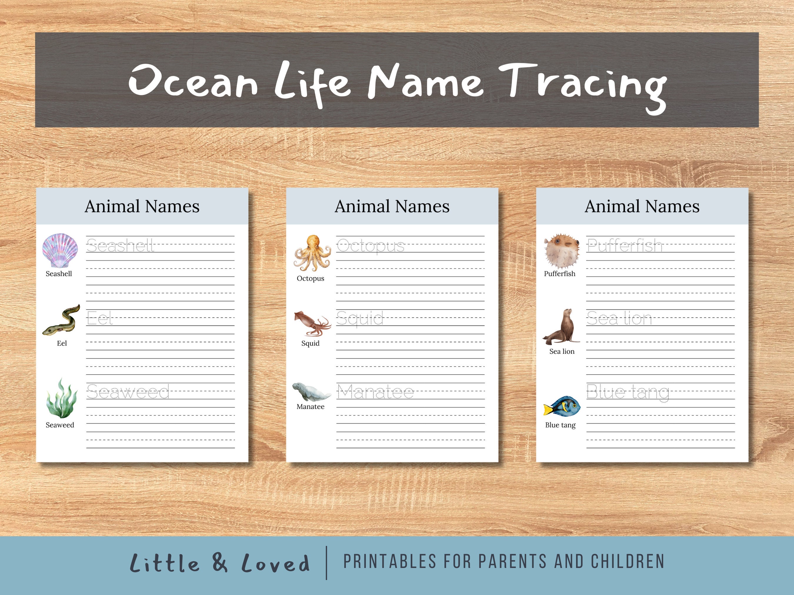 Ocean Life Themed Preschool, Kindergarten, and First Grade Worksheets ...