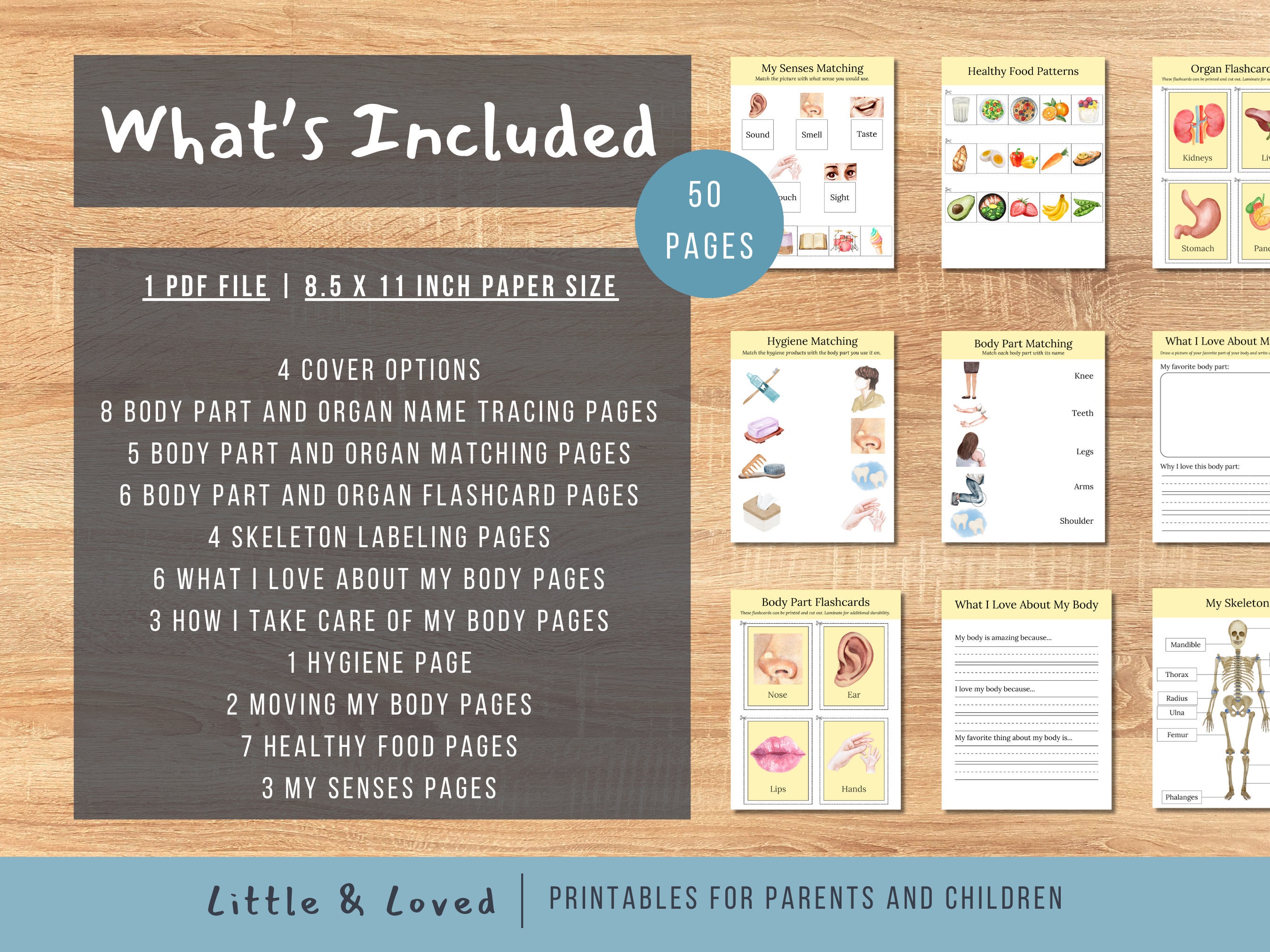 My Body Book Themed Worksheets and Activities for Preschoolers ...