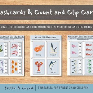 Ocean Life Themed Preschool, Kindergarten, and First Grade Worksheets ...