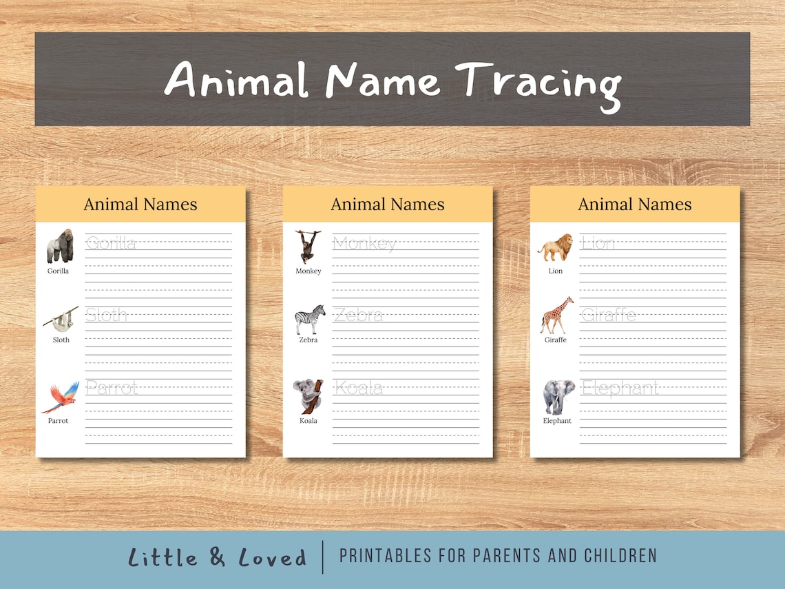 Zoo Animal Themed Worksheets and Activities for Preschoolers ...
