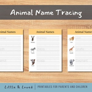 Zoo Animal Themed Worksheets and Activities for Preschoolers ...