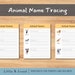 Zoo Animal Themed Worksheets and Activities for Preschoolers ...