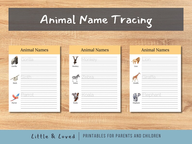 Zoo Animal Themed Worksheets and Activities for Preschoolers ...