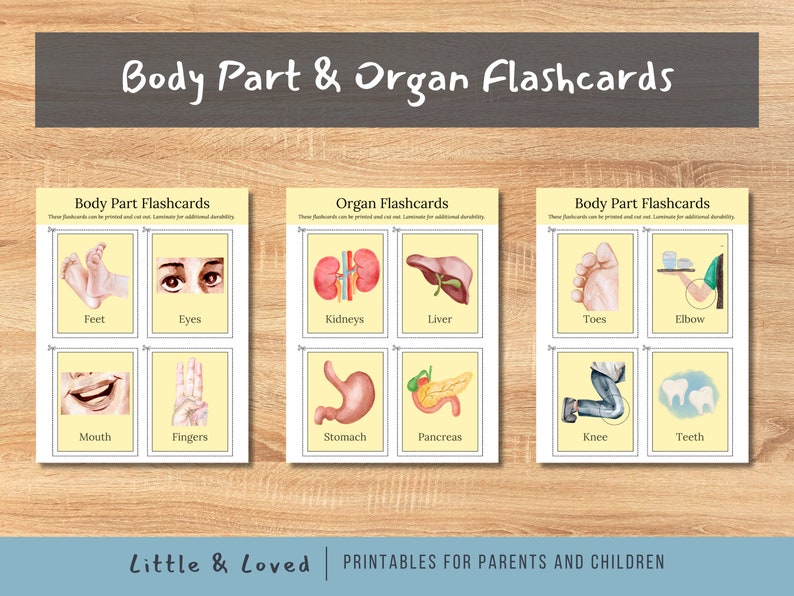 My Body Book Themed Worksheets and Activities for Preschoolers ...