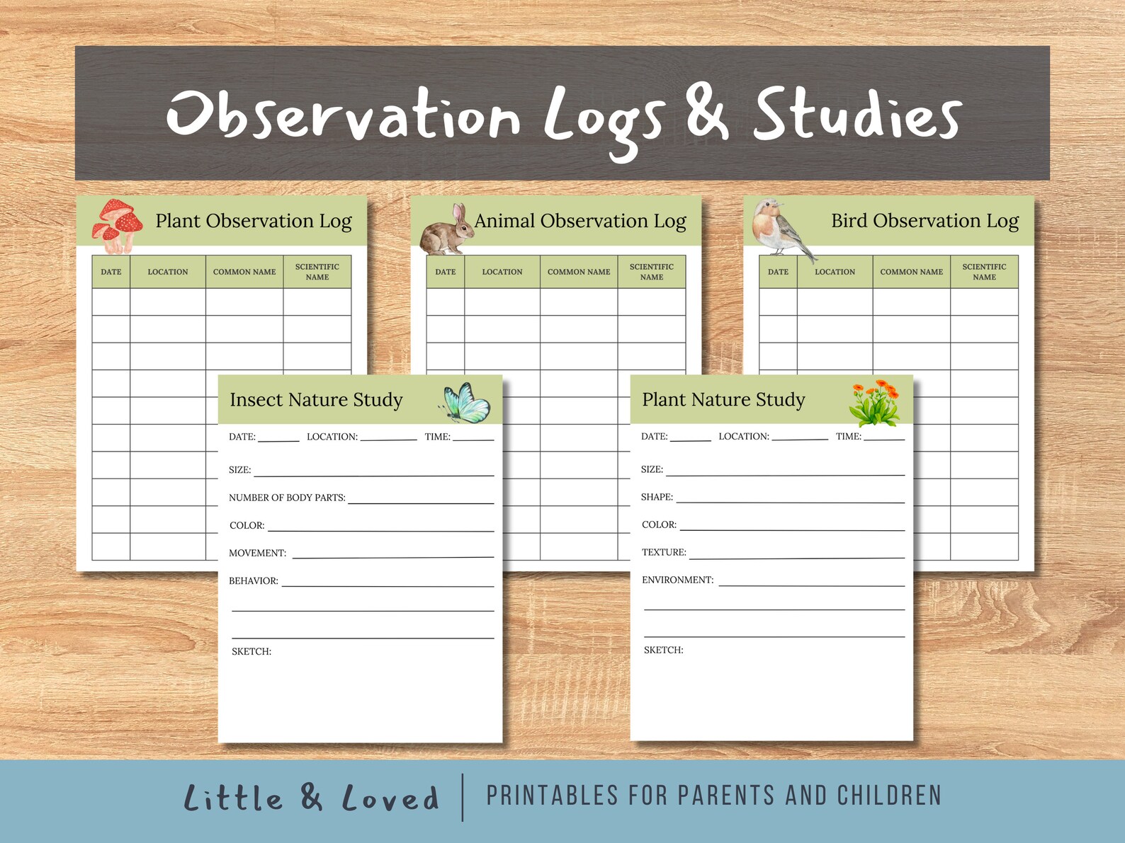 Nature Journal Pages for Kids, Homeschool Printables, Nature Study ...