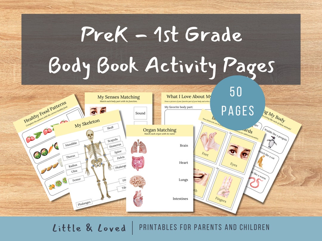 My Body Book Themed Worksheets and Activities for Preschoolers ...